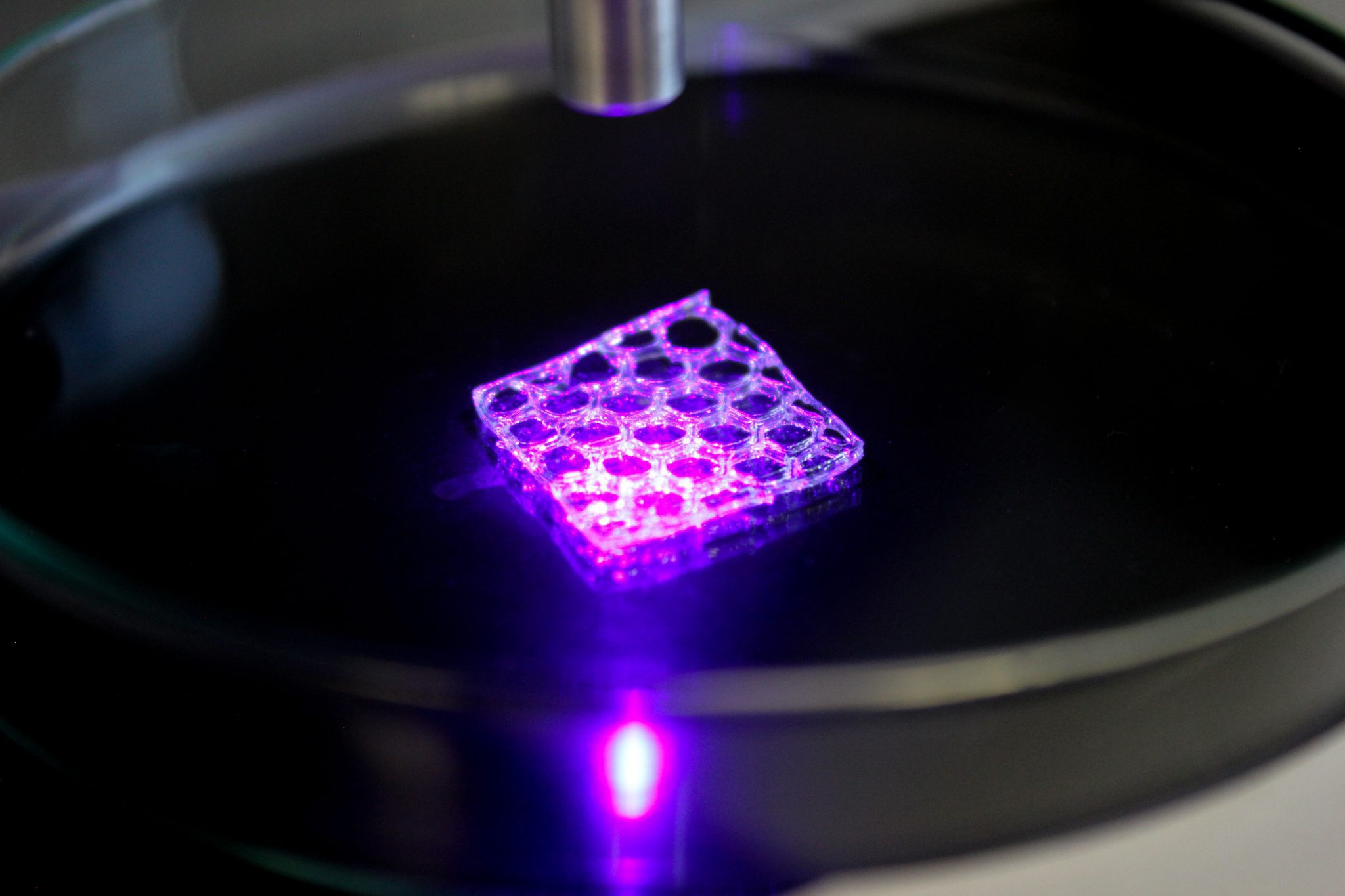 使用 GelMA 进行生物打印的五个理由 - CELLINK China