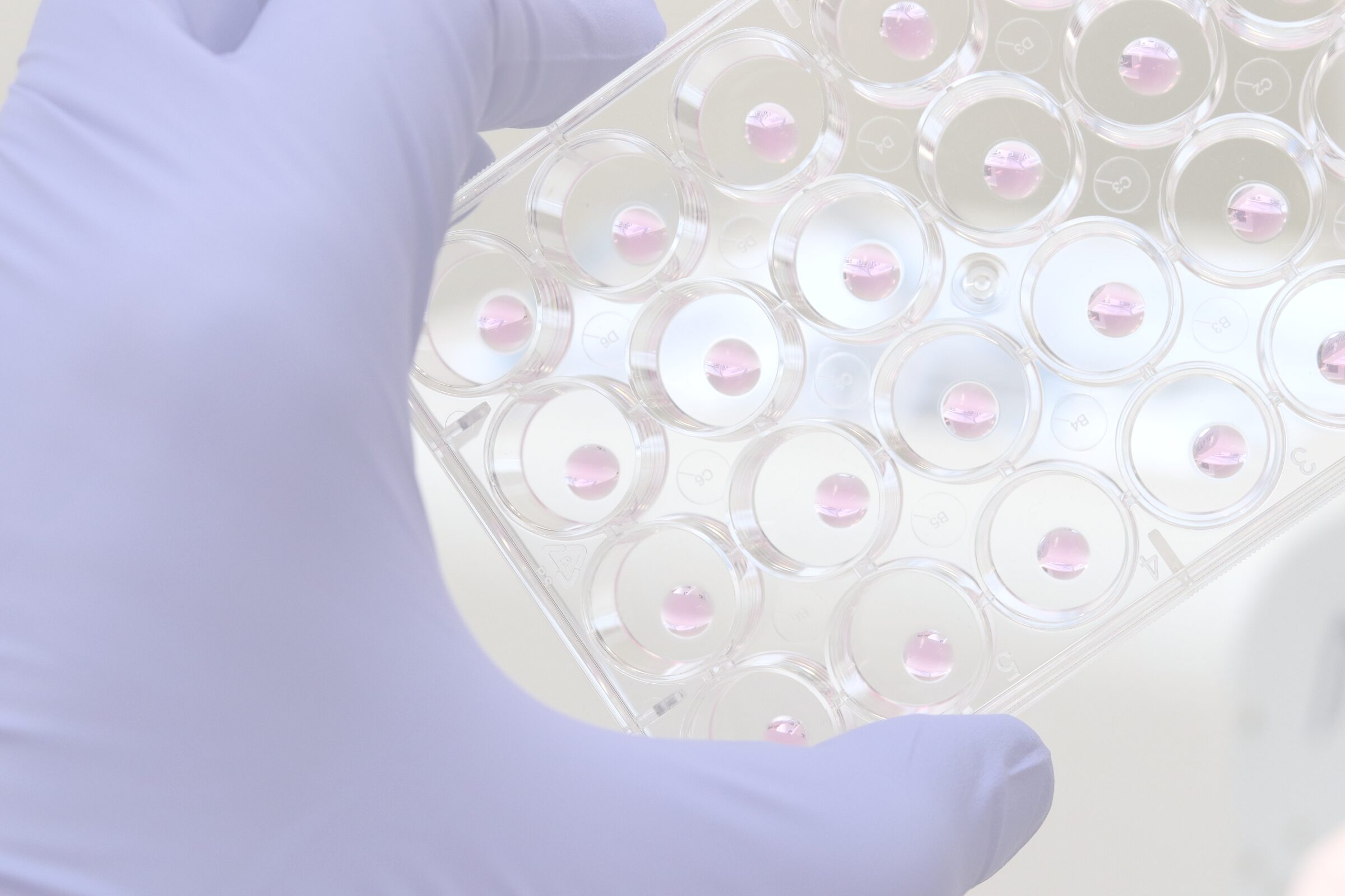 Droplet 打印：发掘2D到3D细胞培养的优势 - CELLINK