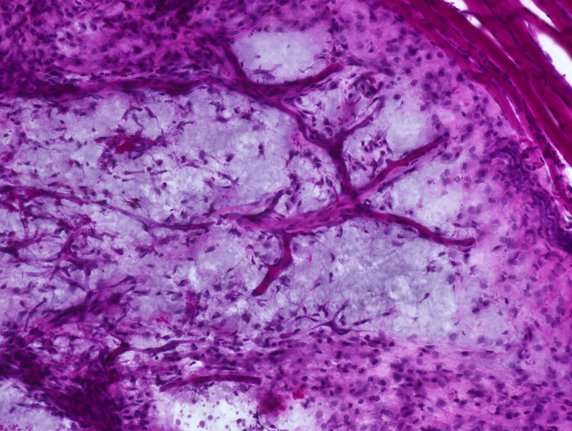 个性化医疗 - CELLINK China